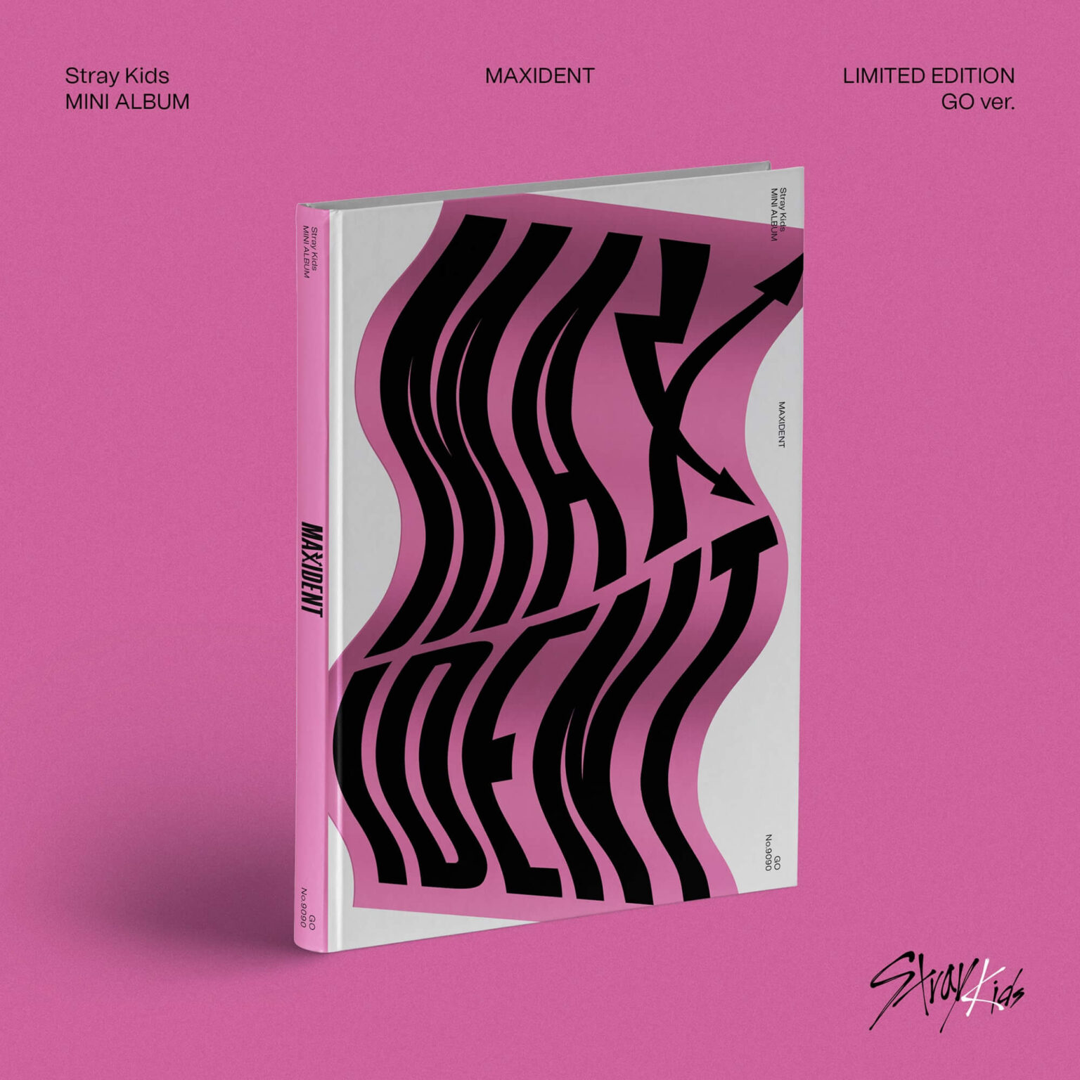 Stray Kids MAXIDENT Edición Limitada |Tienda Kpop en Colombia